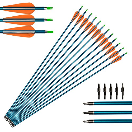 Tongtu 12-pack aluminum arrows, 31 Inch Archery Arrows Hunting Spine ...