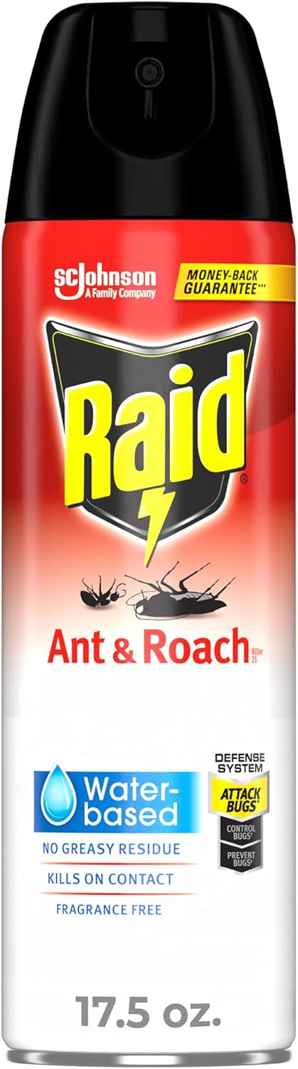 Amazon.com: Raid Ant & Roach Aerosol Bug Spray, Water-Based Formula ...