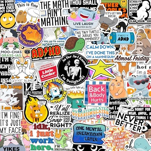 Amazon.com: MiStar 150 PCS Funny Stickers for Adults Hilarious Meme ...