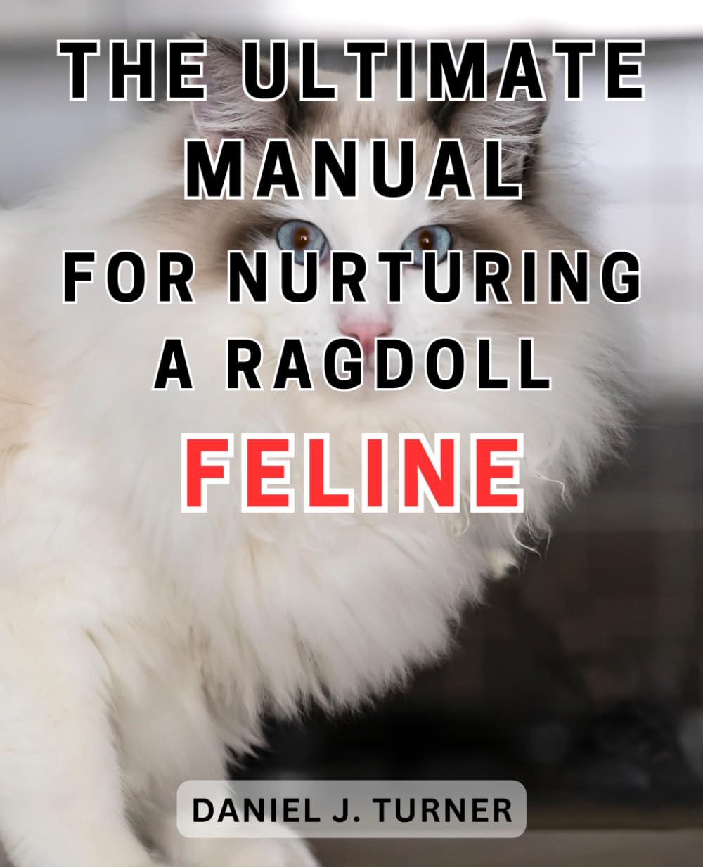 The Ultimate Manual for Nurturing a Ragdoll Feline: The Complete ...