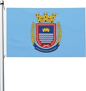 Amazon.com : Bandera De Naguabo, Puerto Rico Flag 3x5FT Flag ...