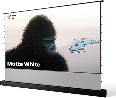 Amazon.com: AWOL VISION 100" Motorized Rising Matte White Projector ...