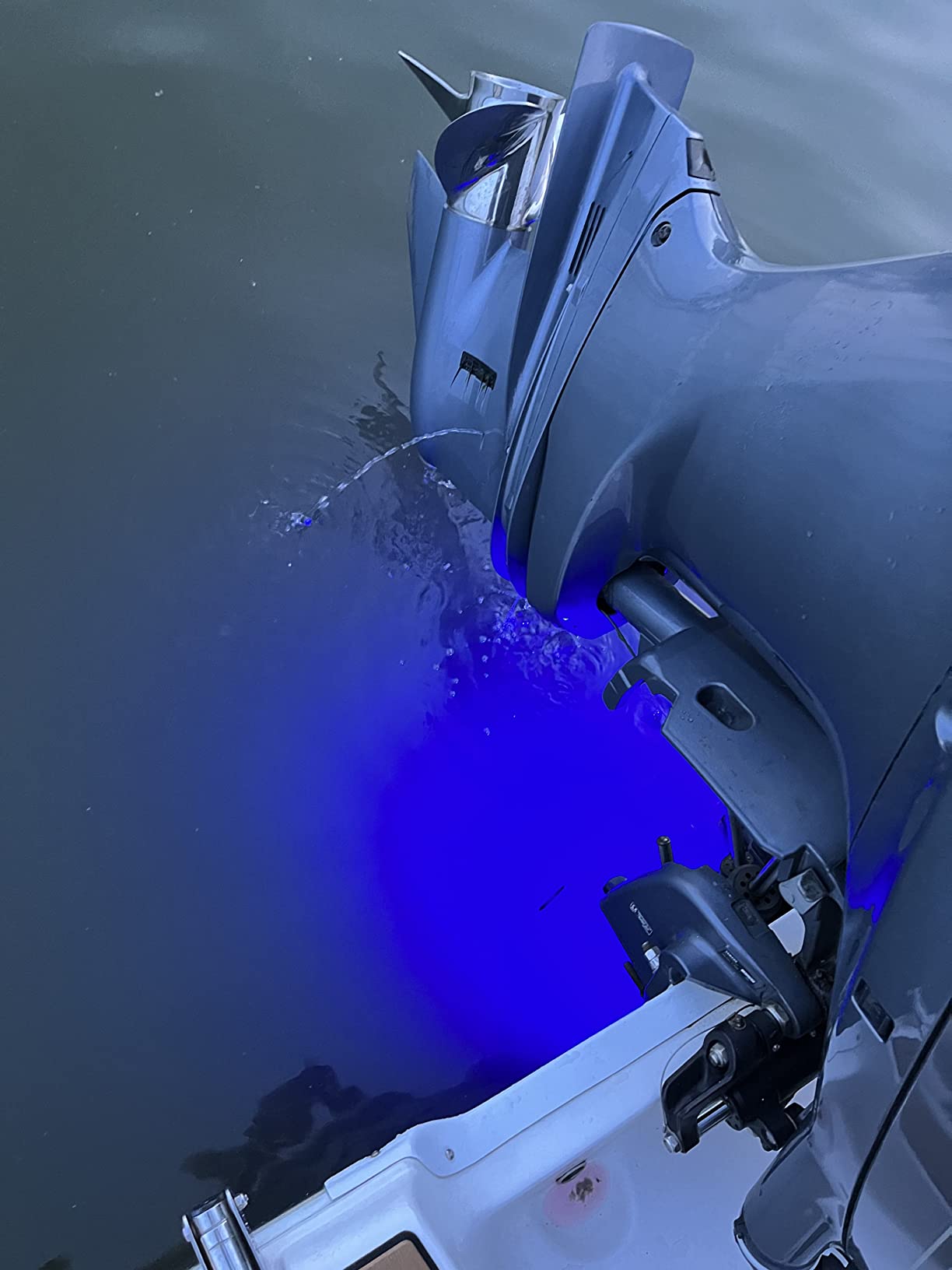 Amazon.com: Typhon SS Underwater LED boat Drain Plug Light (blue ...