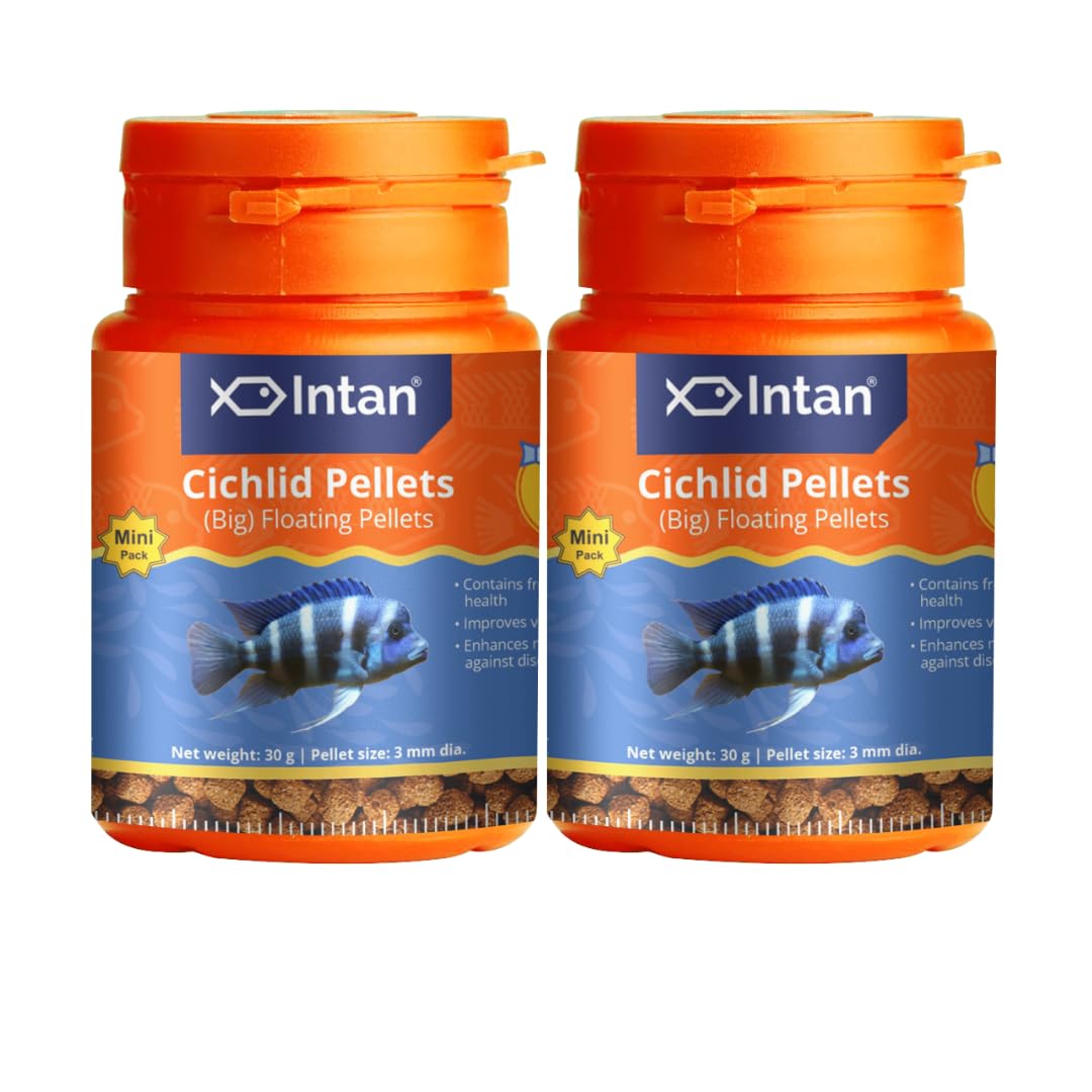 Aquatic Intan Cichlid Pellets | Big Floating Pellets for Aquarium Fish ...