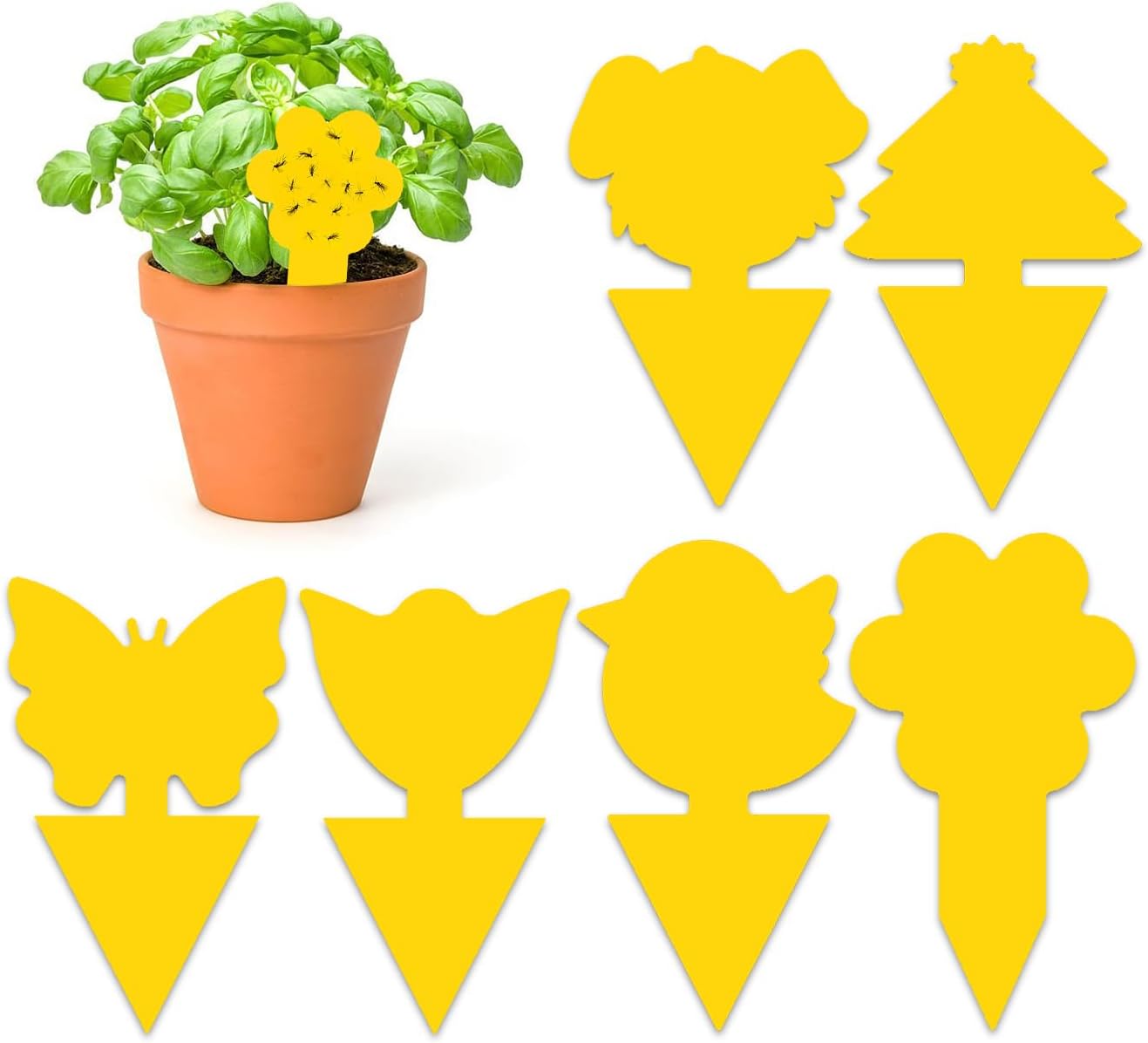 GRTHTATI 60 Pieces Anti Moucherons Interieur - Attrape Moucheron ...