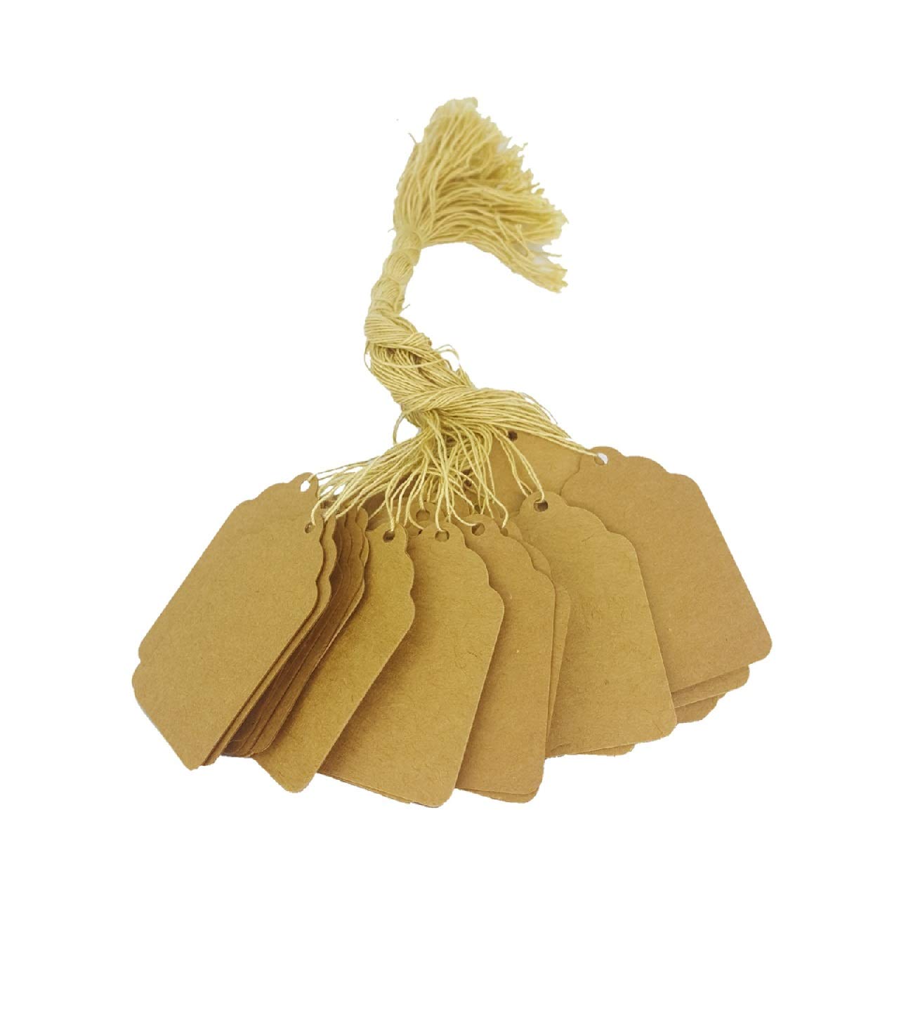 Amazon.com: 100 Pcs of Paper String Tags, Price Tags, Elegant String ...