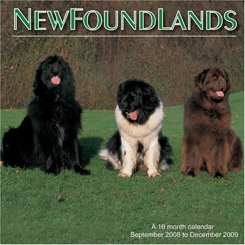 Newfoundlands 2009 Wall Calendar (English and French Edition): Magnum ...