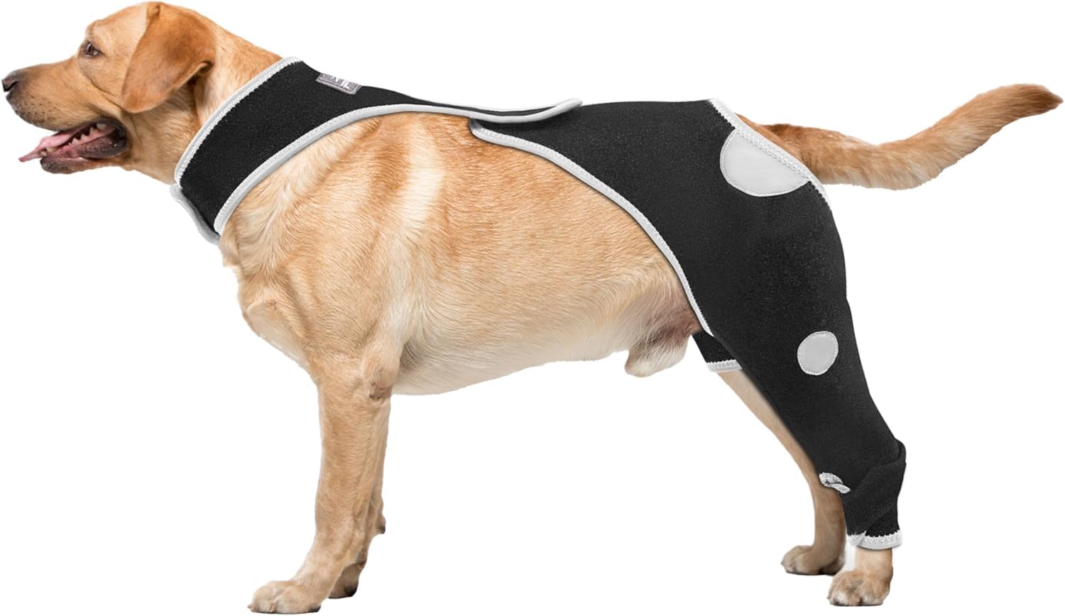 XS Dog Leg Sleeve to Stop Licking, Abrasion Resistant 4 mm Thick and ...