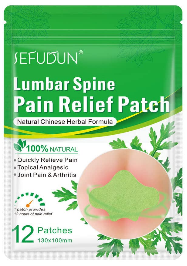 Buy Clean Living® 12pcs Lumbar Lower Back Pain Relief Patches Self ...