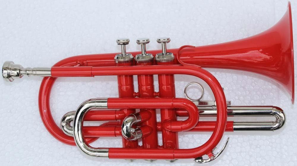 Amazon.com: CORNET BB COLOR+BRASS POLISH WITH BAG+MP+NICE SOUND ...