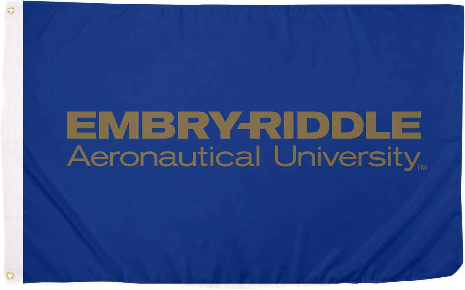 Amazon.com : Desert Cactus Embry-Riddle Aeronautical University Flag ...
