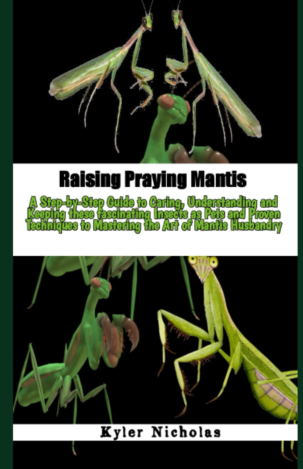 Raising Praying Mantis A Step By Step Guide To Caring | Desertcart KSA