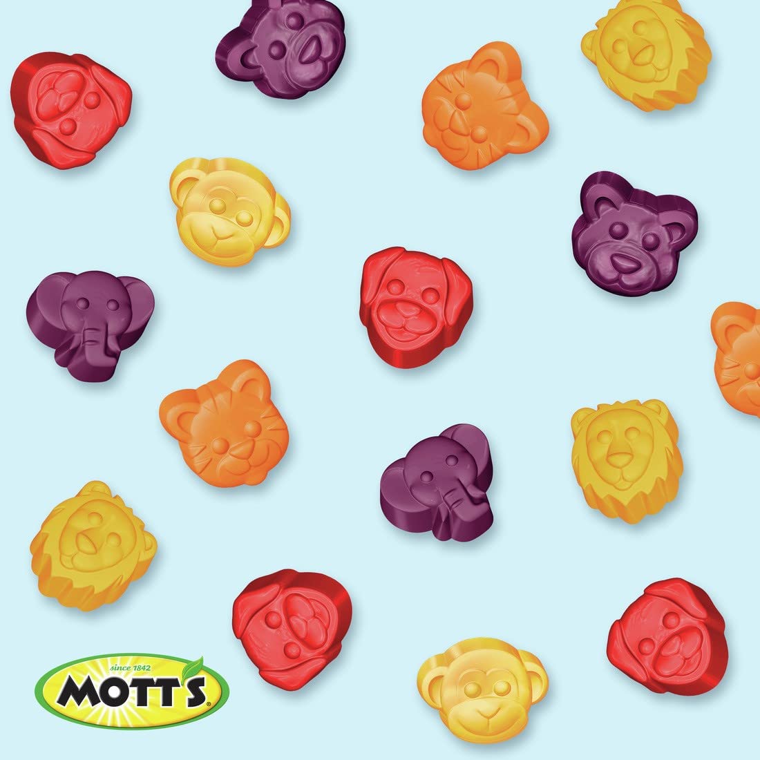 Snapklik.com : Motts Fruit Flavored Snacks