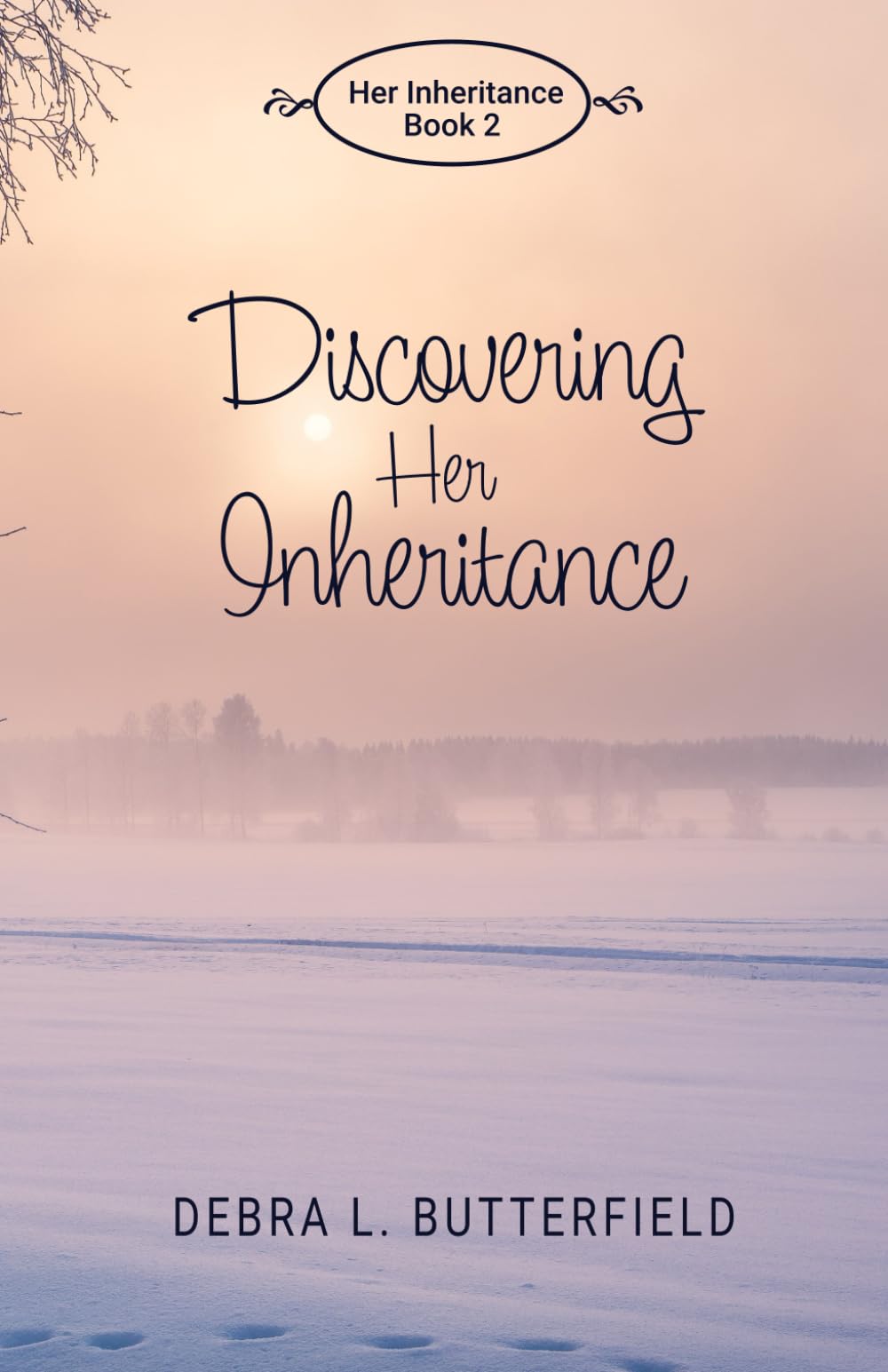 Discovering Her Inheritance: Butterfield, Debra L: 9781936501854 ...