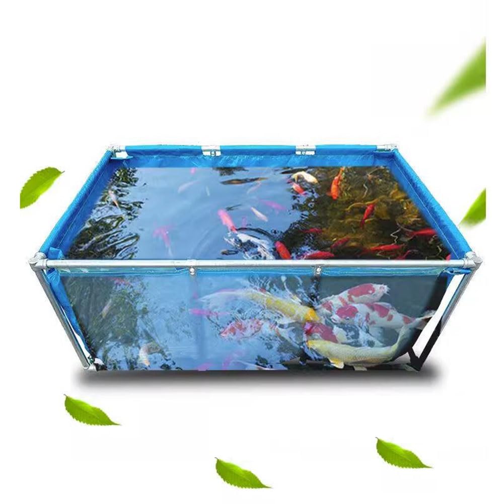 Swimming In A Fish Tank