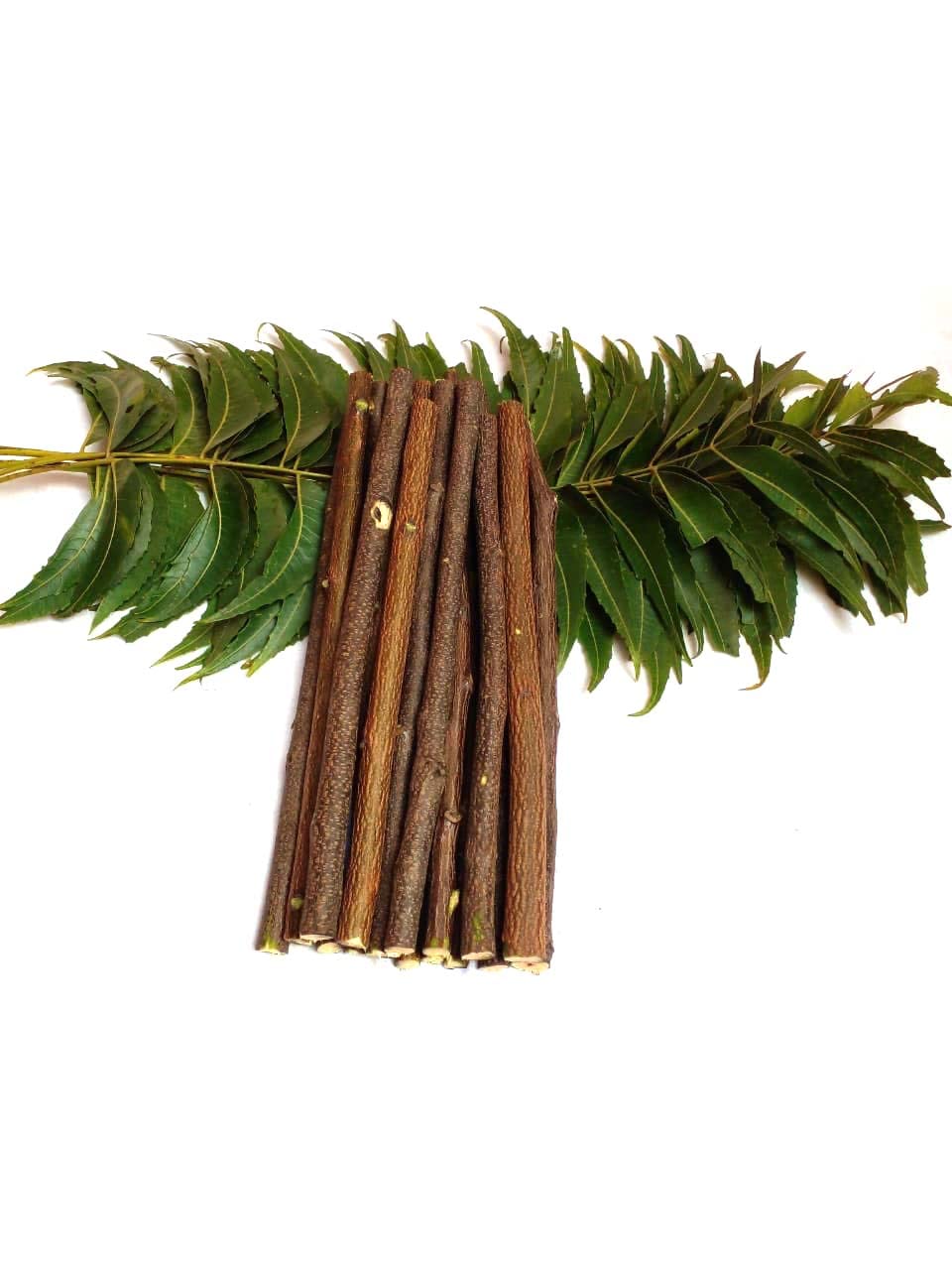 Buy Li6 ®™ Fresh Neem Datun Sticks ( Pack of 15 ) Neem Datun Sticks For ...