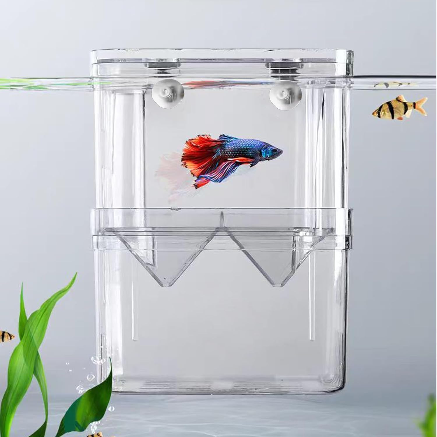 Aquarium Breeding Box for Fish Tank, Aquarium Hatchery Incubator ...