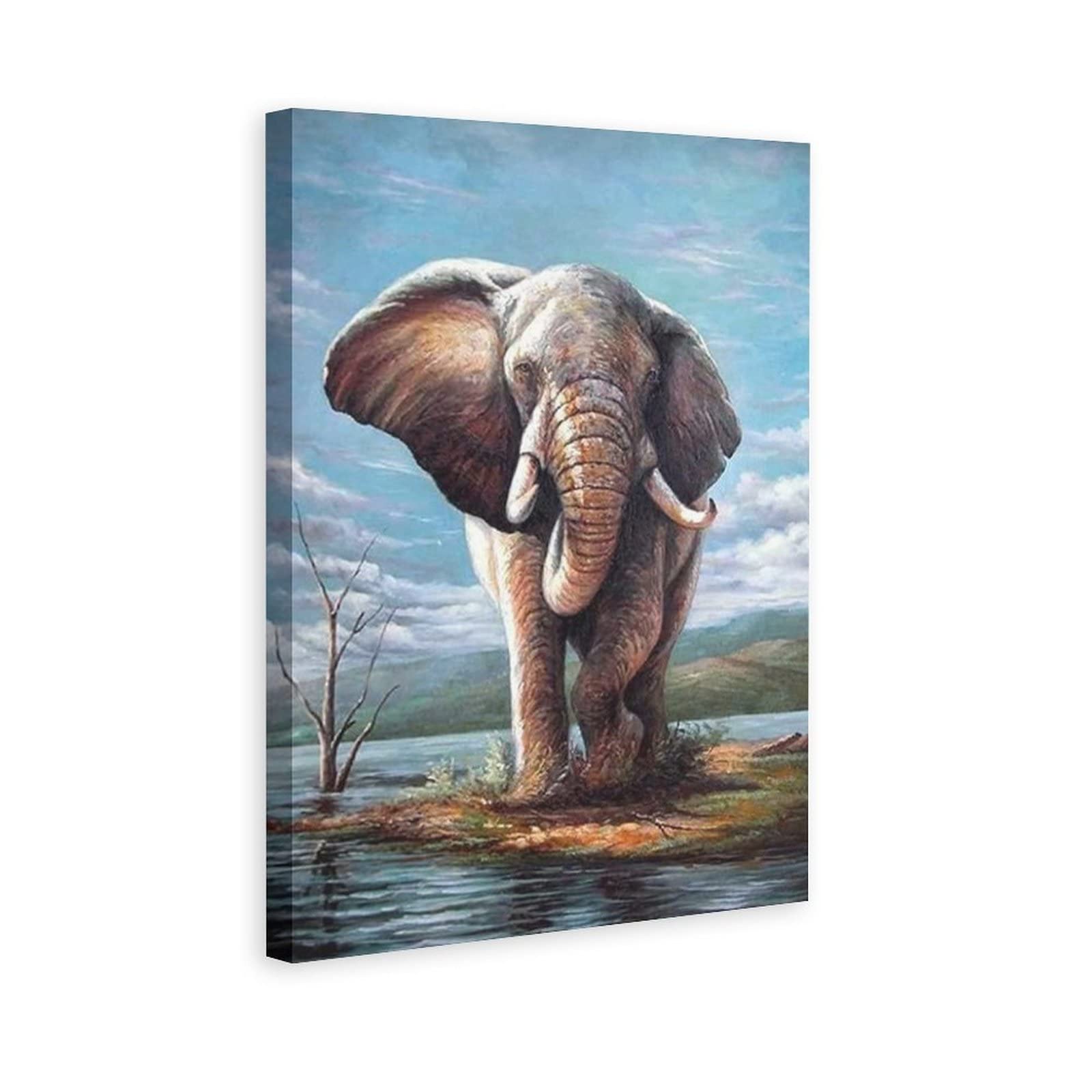 Baby Indian Elephant Art