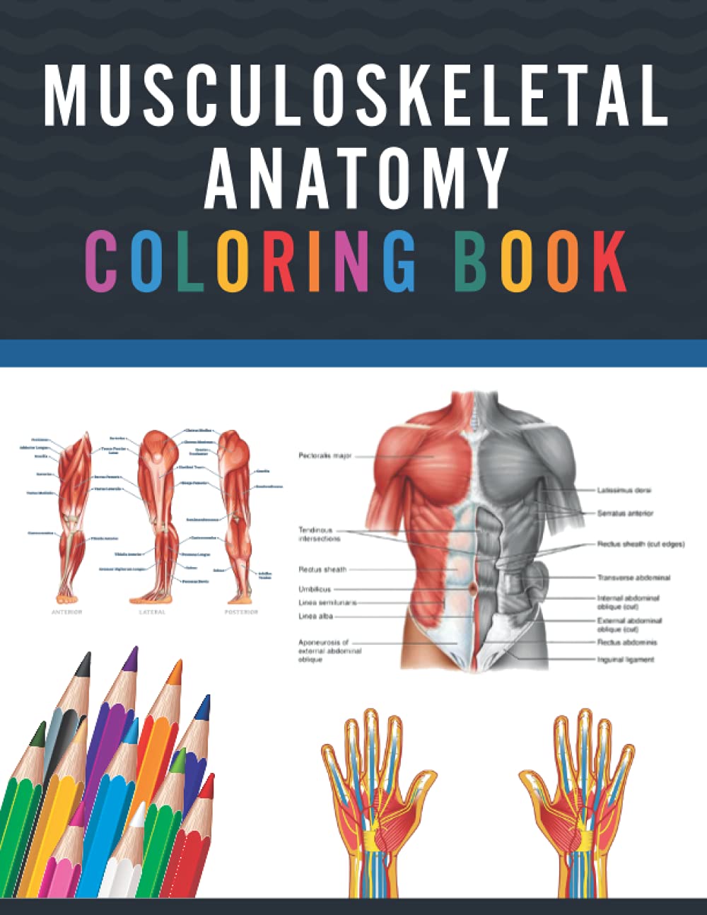 Muscle Coloring Pages For Kids