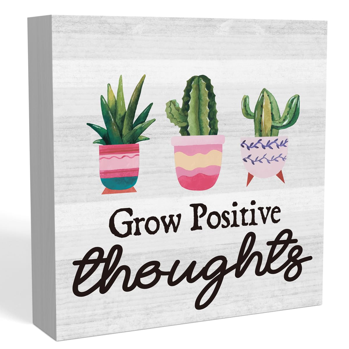 Amazon.com: Zopedia Grow Positive Thoughts Cactus Succulent Desk Decor ...