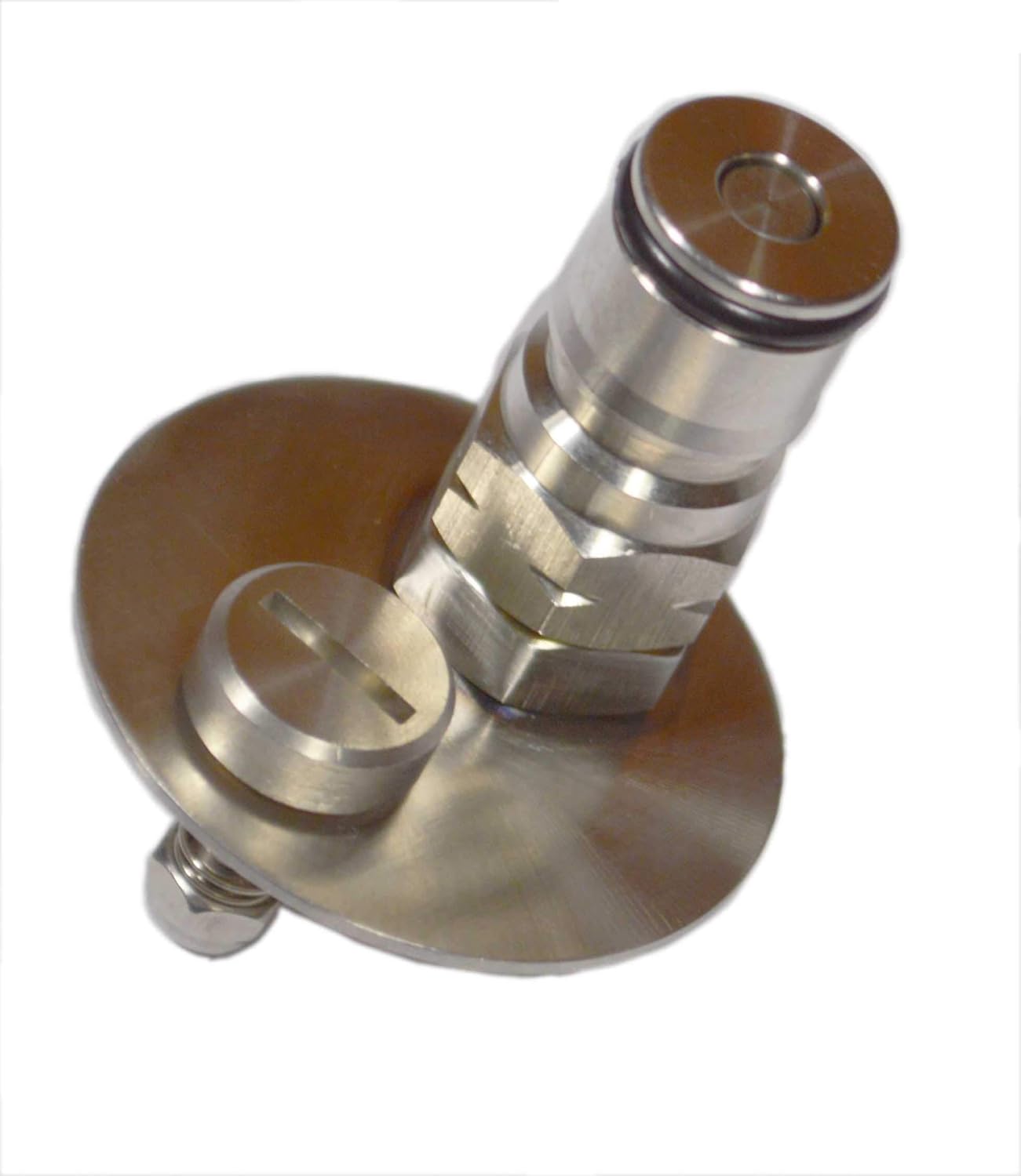 Amazon.com: NorCal Brewing Solutions Gas In Ball Lock with Pressure ...