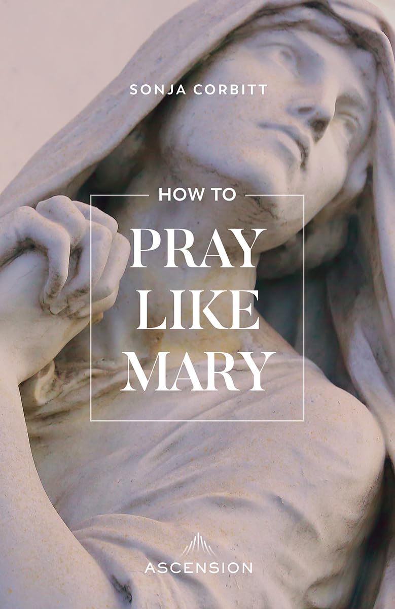 Amazon.com: How to Pray Like Mary: 9781945179495: Sonja Corbitt: Books