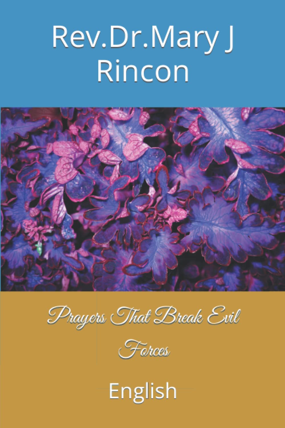 Prayers That Break Evil Forces: English: Rincon, Rev.Dr.Mary J, Rincon ...