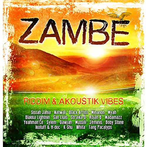 Amazon.com: Zambe Riddim & Akoustik Vibes : VARIOUS ARTISTS: Digital Music