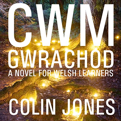 Amazon.com: Cwm Gwrachod [Witches' Valley]: A Novel for Welsh Learners ...