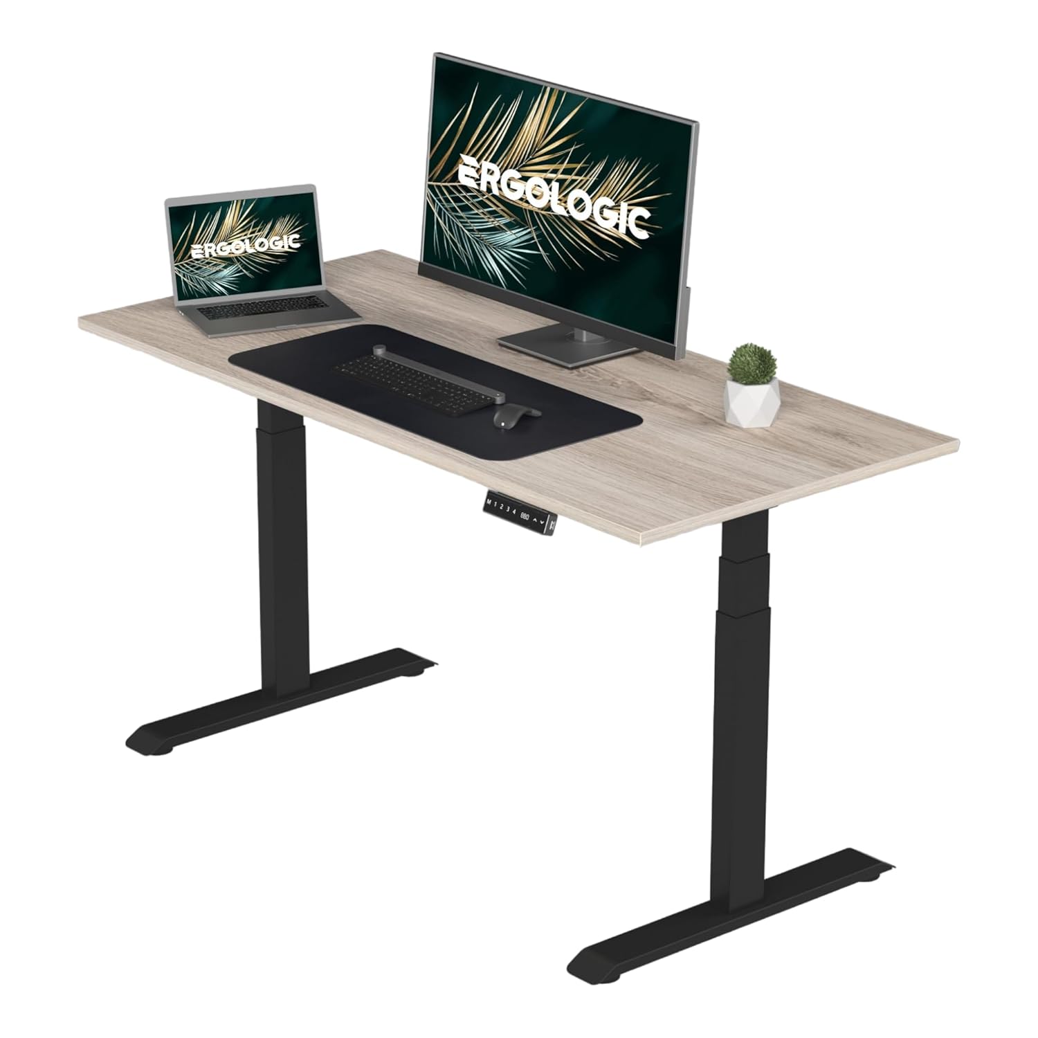 Ergologic Electric Height Adjustable Desk | Dual Motor | 3-Stage Desk ...