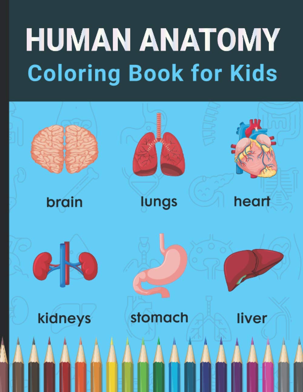 Buy Human Anatomy Coloring Book for Kids: Human Body Organs Coloring ...