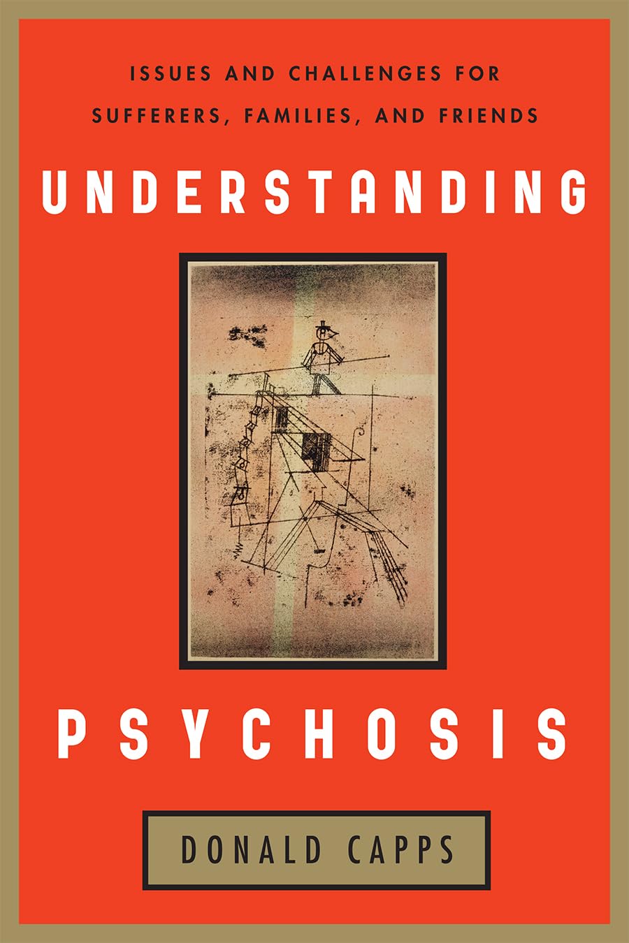 Understanding Psychosis: Issues and Challenges for Sufferers, Families ...