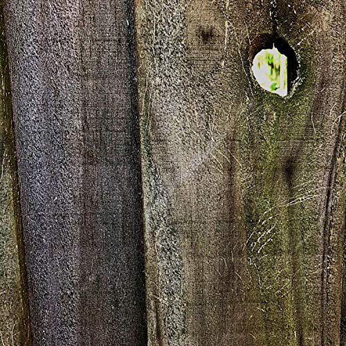 Amazon.com: Business Park : Ethan Ball: Digital Music