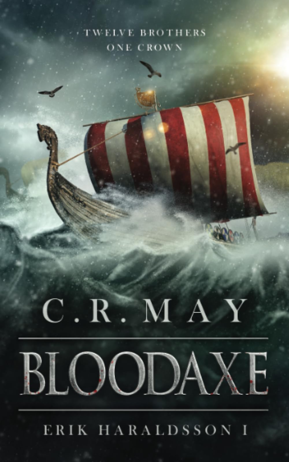 Bloodaxe (Erik Haraldsson): May, C.R.: 9781999669508: Amazon.com: Books