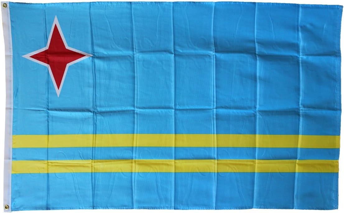 Amazon.com : Aruba - 3' x 5' Dura-Poly Polyester World Flag by Flagline ...