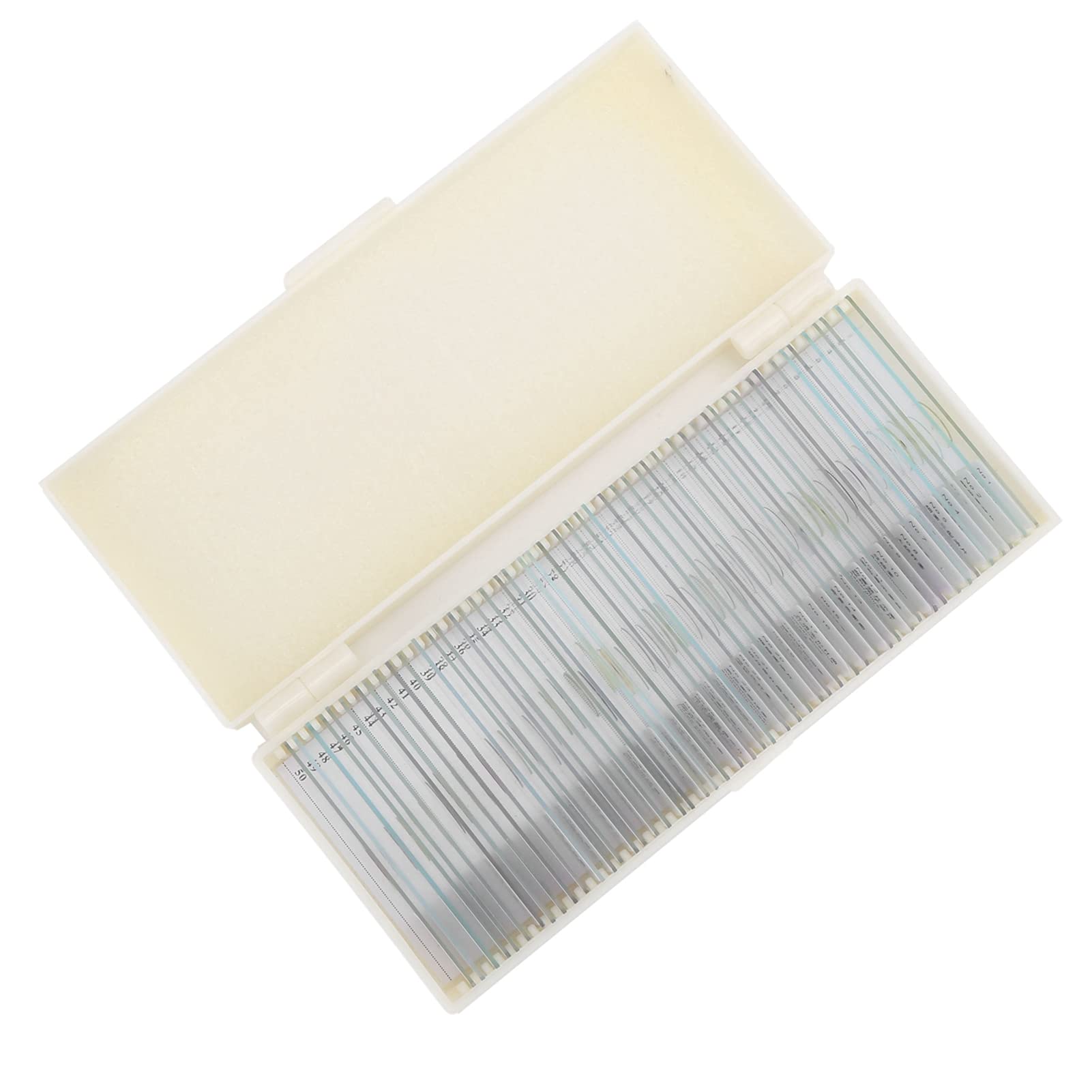 Buy Micro Slides, Disease‑free Microbial Specimen Slides Experiment ...