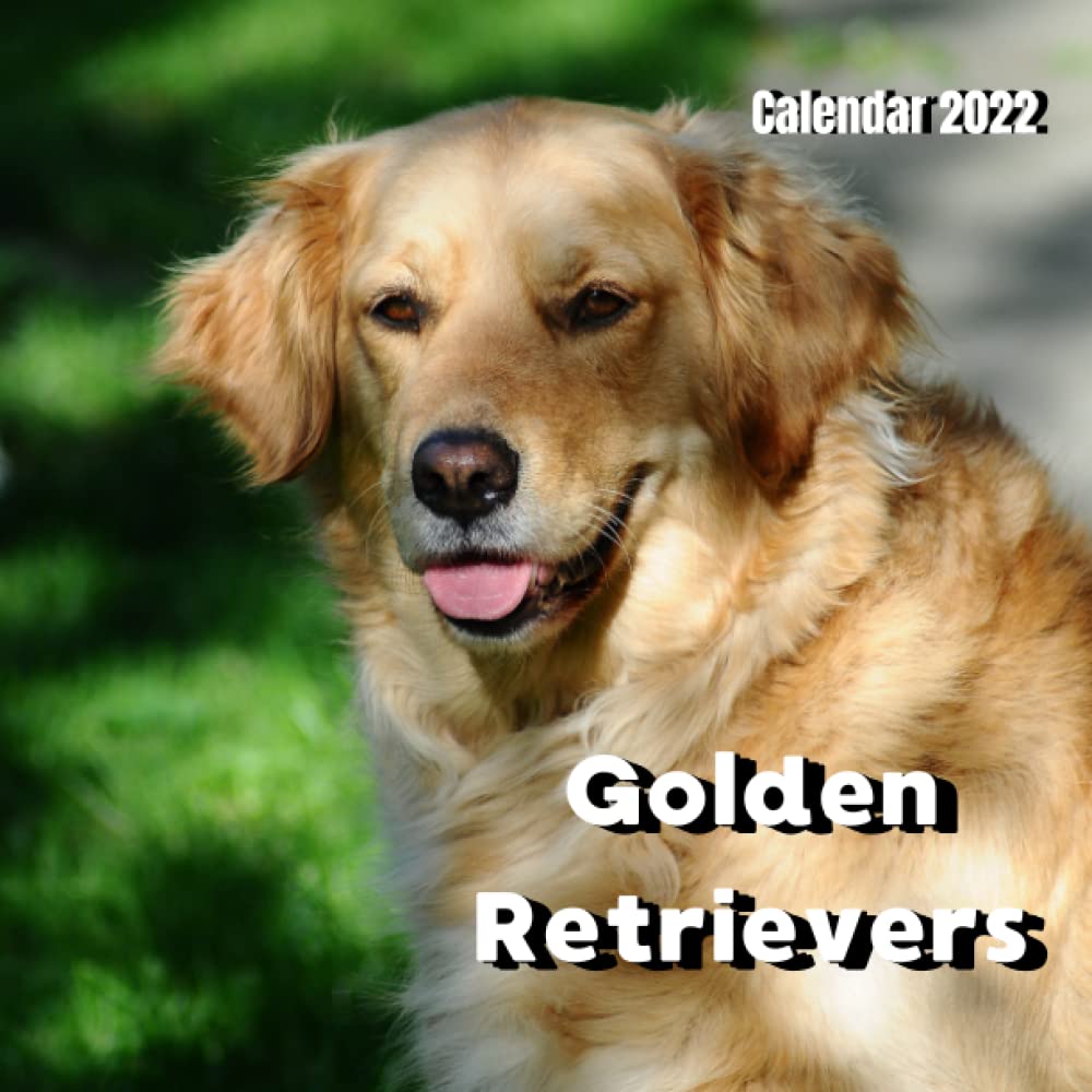 Buy Golden Retrievers 2022 Cute And Funny Golden Retrievers 2022 buy-golden-retrievers-2022-cute-and-funny-golden-retrievers-2022
