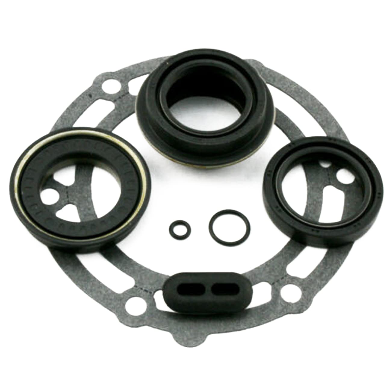 Amazon.com: Gasket and Seal Kit Fits 1998-2007 GM NP149 NP246 Transfer ...