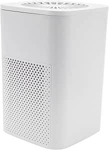 Amazon.com: Air Filter Machine, Portable Air Cleaning Machine Activated ...