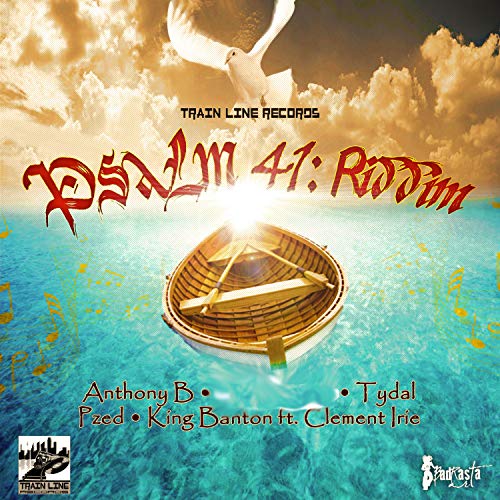 Amazon.com: Psalm 41: Riddim - EP : VARIOUS ARTISTS: Digital Music