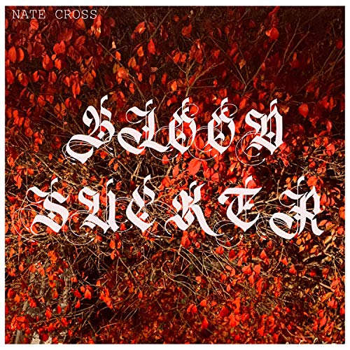 Amazon.com: Blood Sucker : Nate Cross: Digital Music