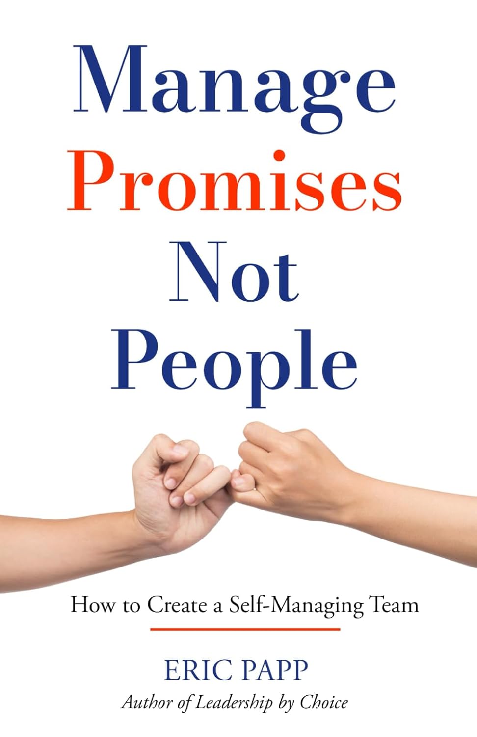Manage Promises Not People: How To Create A Self-Managing Team: Papp ...