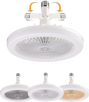 Amazon.com: Wellinlux Mini E26/E27 Ceiling Fan Light with Remote, 10in ...