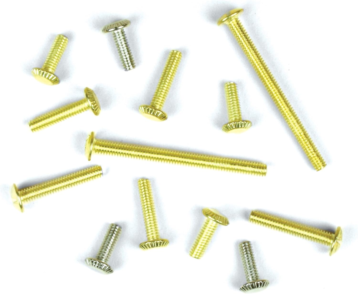 Amazon.com: Screws, Assorted, Set of 13: Versatile Collection for ...