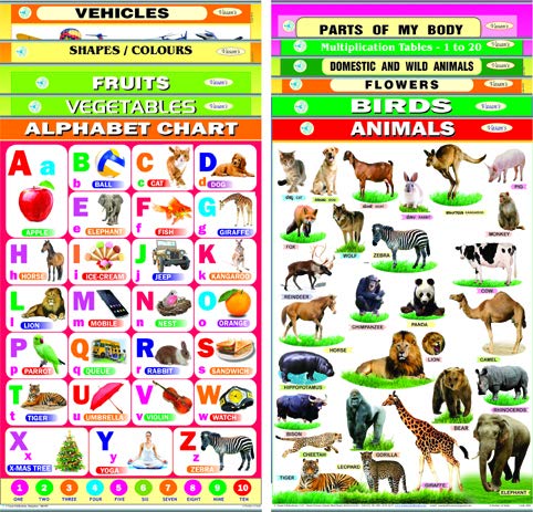 Buy EDUCATIONAL CHARTS FOR KIDS – Set of 11 Charts - Size 49 X 75 cm ...