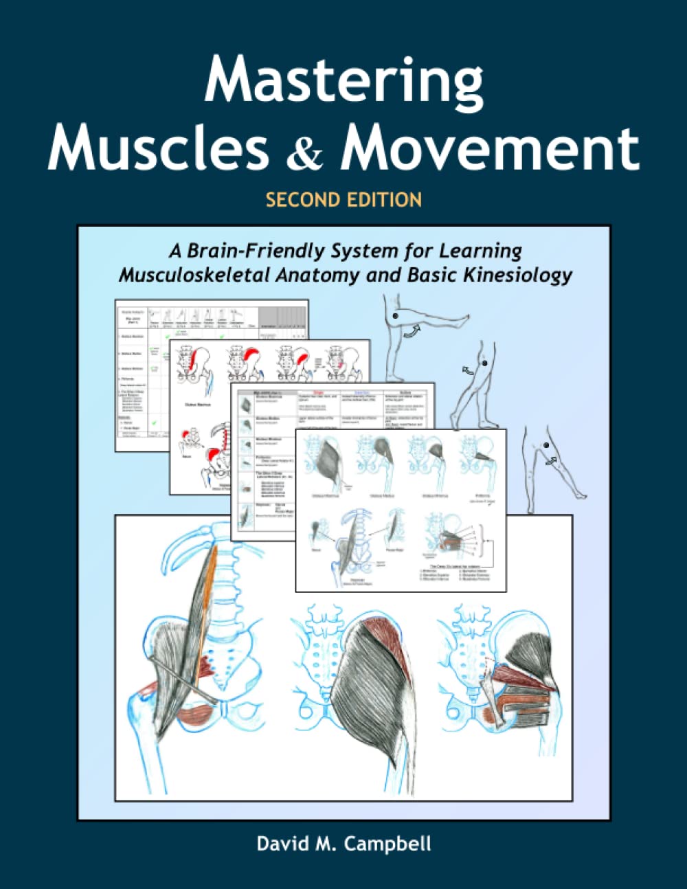 Mastering Muscles And Movement A Brain Friendly System For Learning ...