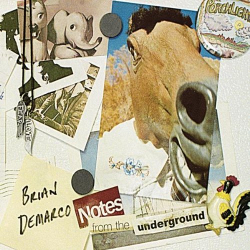 Amazon.com: Notes From the Underground : Brian DeMarco: Digital Music