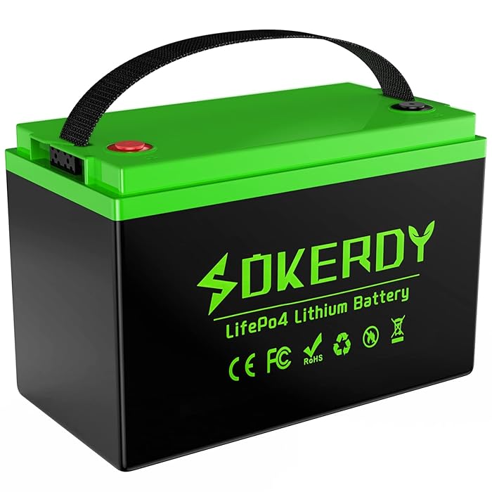 Buy 150Ah LiFePO4 Battery,Built in 150A BMS,SOKERDY 12V 150Ah 1920WH ...