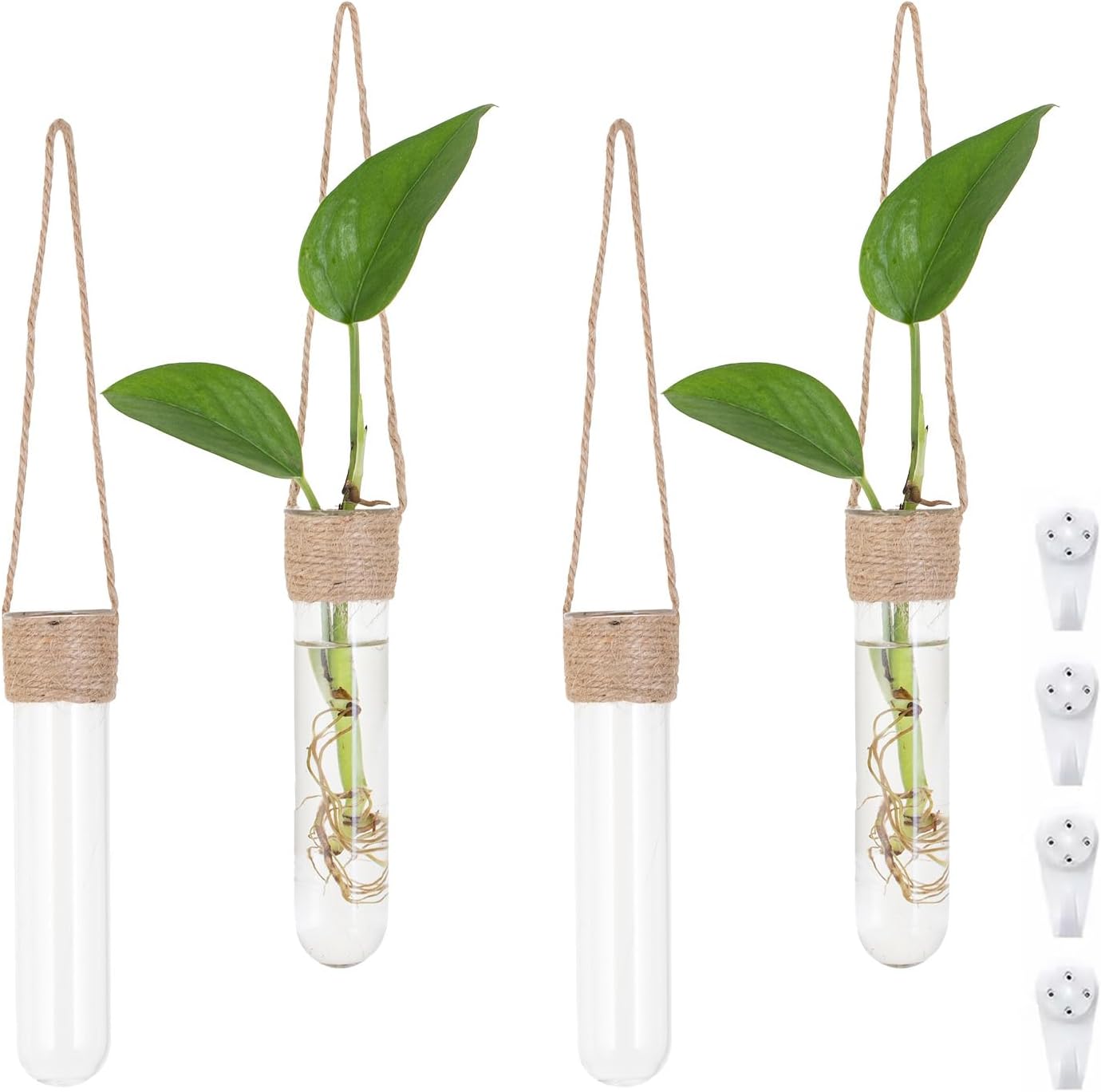 Hinged Flower Vase, Vase Creative Test Tube Vases, 6 Pcs Glass Test ...