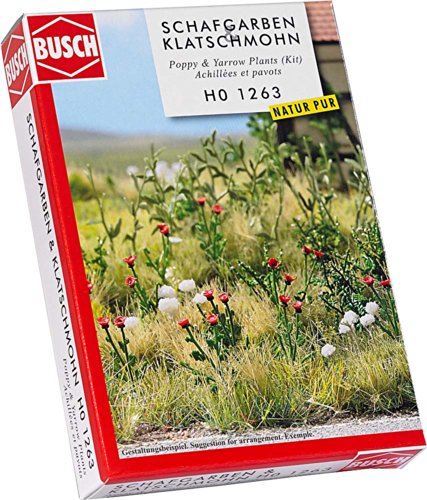 Eberesche Busch – Die 15 besten Produkte im Vergleich - Hausbauberater ...